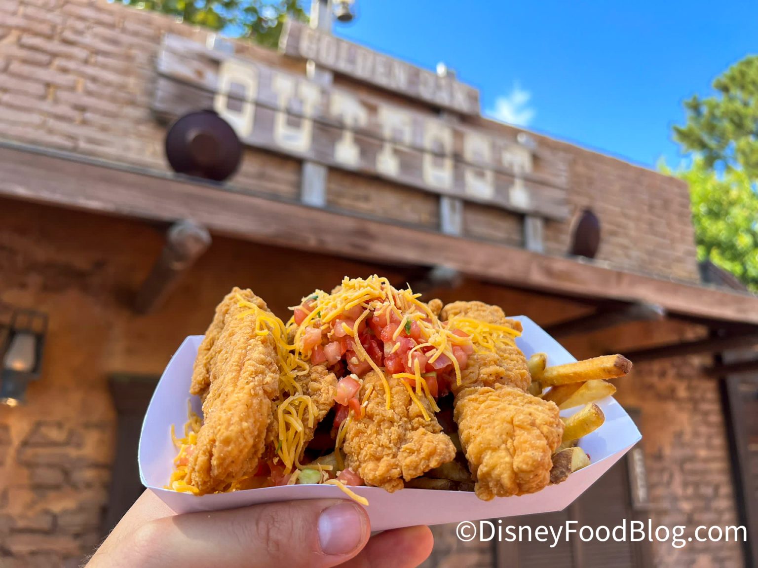 One Restaurant Is Having a ROUGH Day in Magic Kingdom! | the disney ...