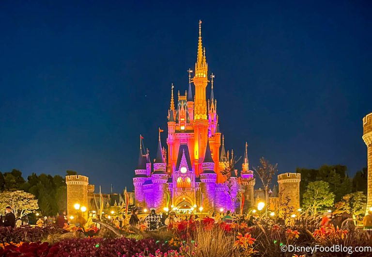 Fireworks Suspension Announced for Tokyo Disneyland | the disney food blog