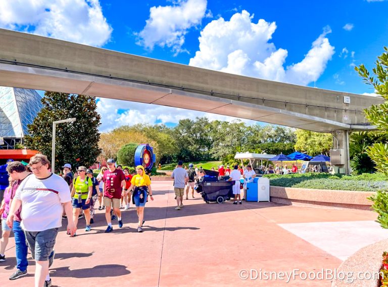 PHOTOS: We're SHOCKED by the Halloween Crowds in Disney World | the ...