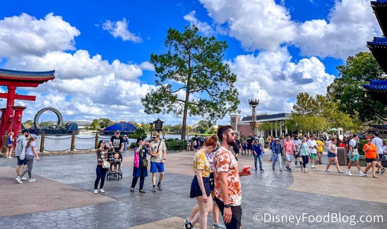 PHOTOS: We're SHOCKED by the Halloween Crowds in Disney World | the ...