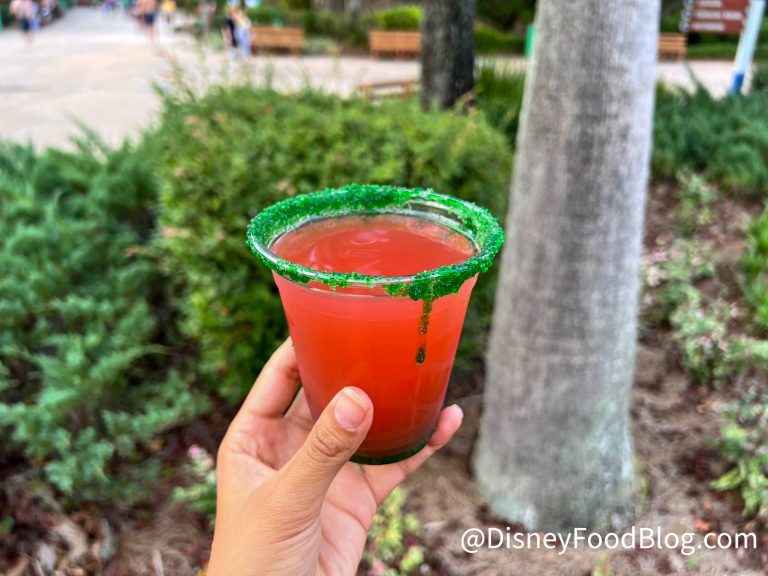 REVIEW: Try 3 NEW Drinks With Us at Blizzard Beach in Disney World ...