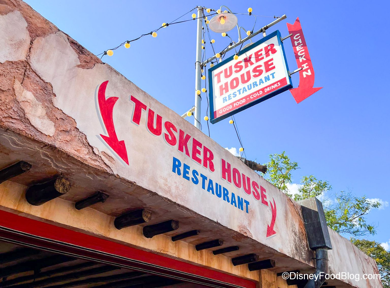 We've Eaten at Every Restaurant in Disney's Animal Kingdom. These Are ...