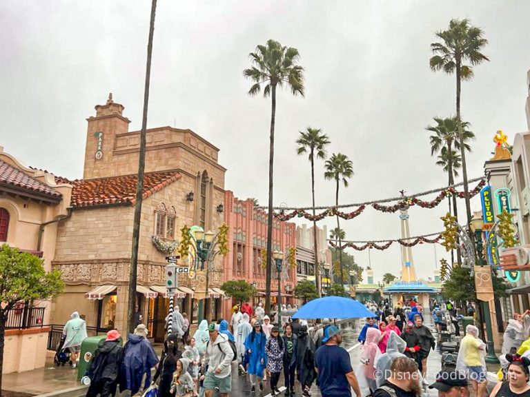 So You Think You Want To Go To Disney World During Hurricane Season ...