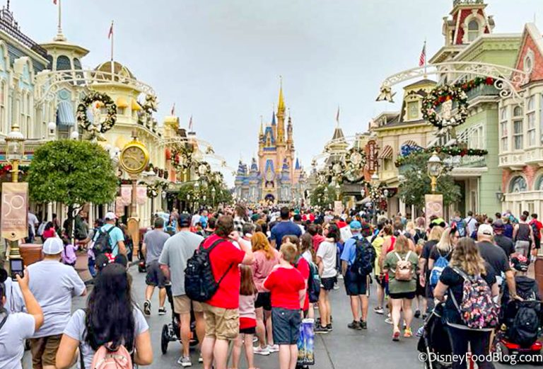 PHOTOS: You Won't Believe the Thanksgiving Day Crowds in Disney World ...