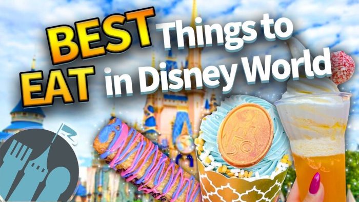 DFB Video: The BEST Things to Eat in Disney World | the disney food blog