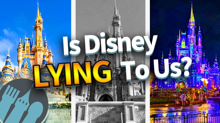 DFB Video: Is Disney LYING to Us? | the disney food blog