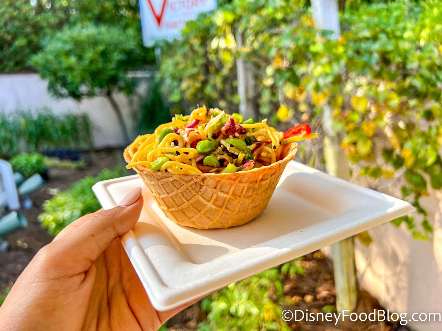 FULL REVIEW: NEW Waffle Bowls Are the ULTIMATE Fast Meals at Fairfax ...
