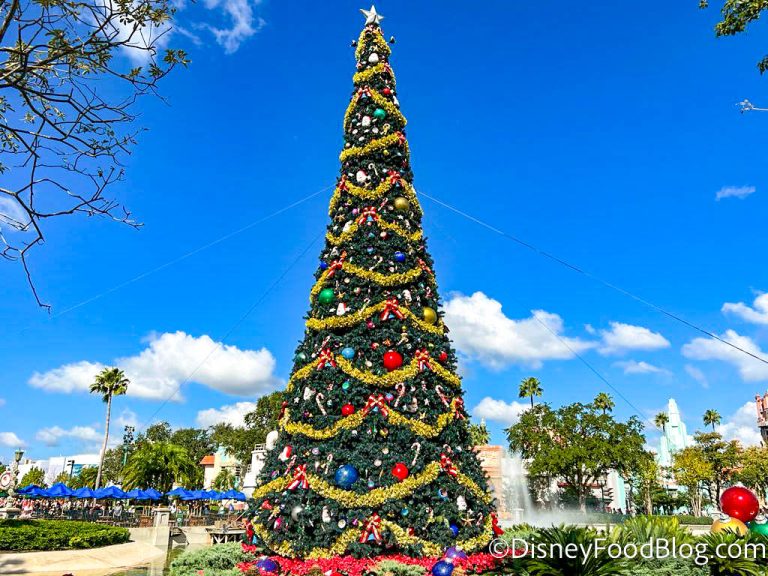 The Christmas Tree Has ARRIVED in Disney's Hollywood Studios! | the ...