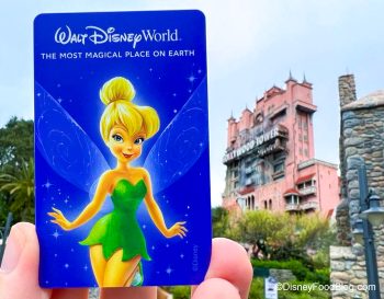 disney afternoon tickets | the disney food blog