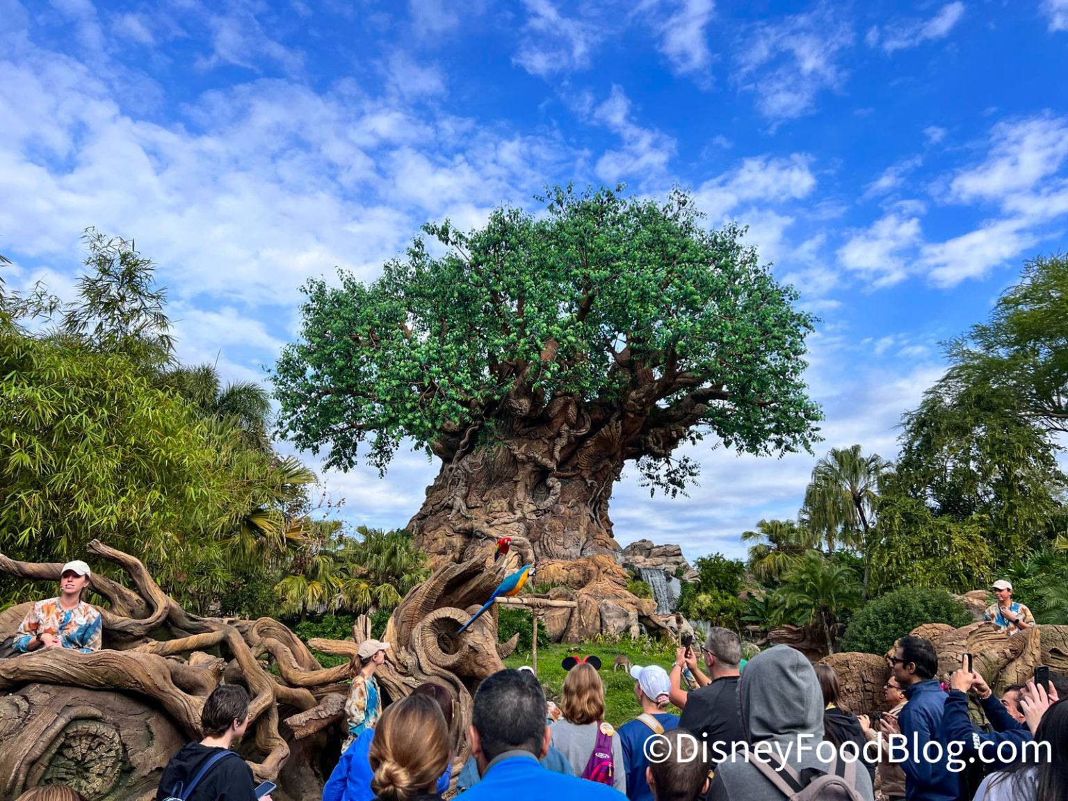 How Expensive Is TOO Expensive for Mickey Ears? See the Newest Pair in ...