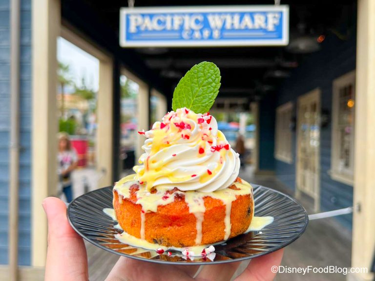 We Wanted WAY More From This Disney Snack | the disney food blog