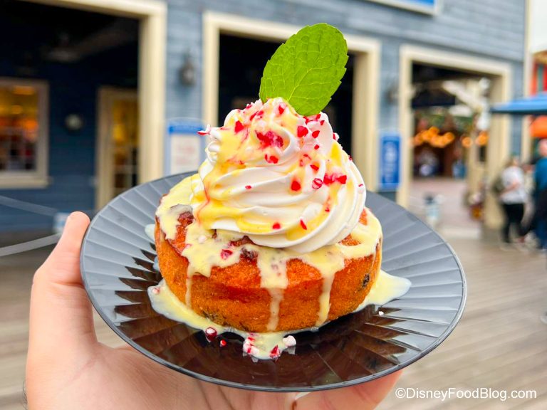 We Wanted WAY More From This Disney Snack | the disney food blog
