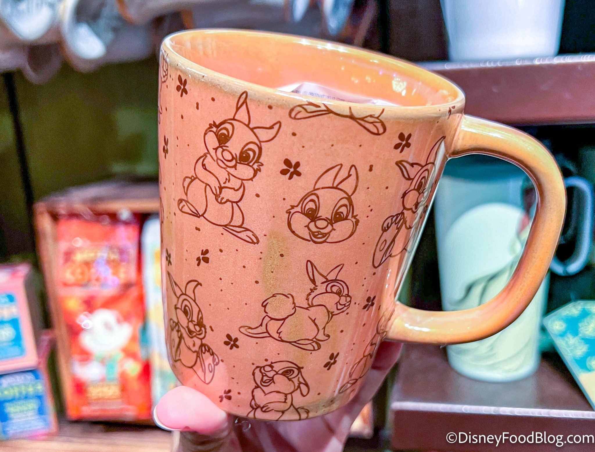 What's New in Disney's Animal Kingdom: An Upcoming Ride CLOSURE | the ...