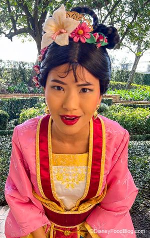 Where to Meet a RARE Princess in Magic Kingdom | the disney food blog