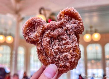Guide To Churros and EVERY Place To Get Them In Disney World | the ...