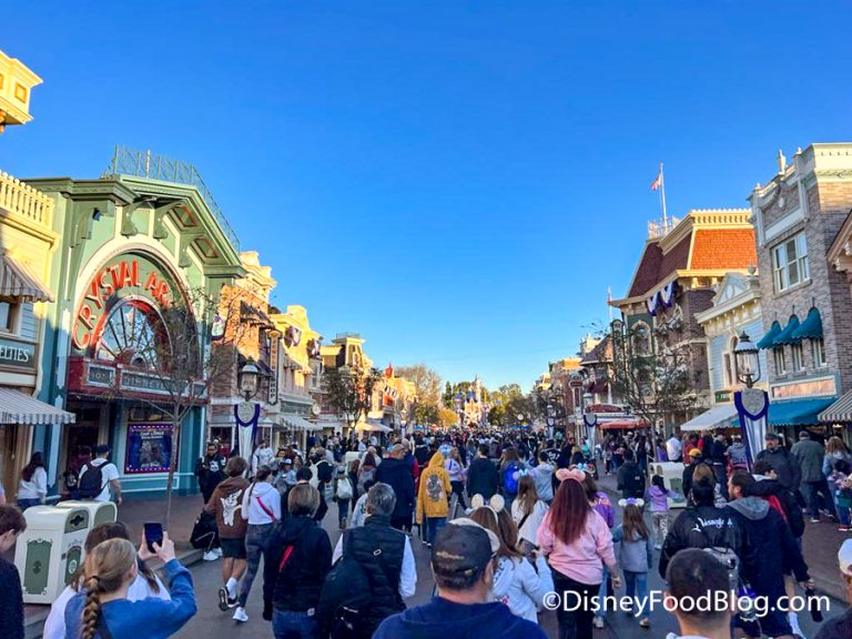 DFB Video: 50 Disneyland Tips Only the Pros Know | the disney food blog