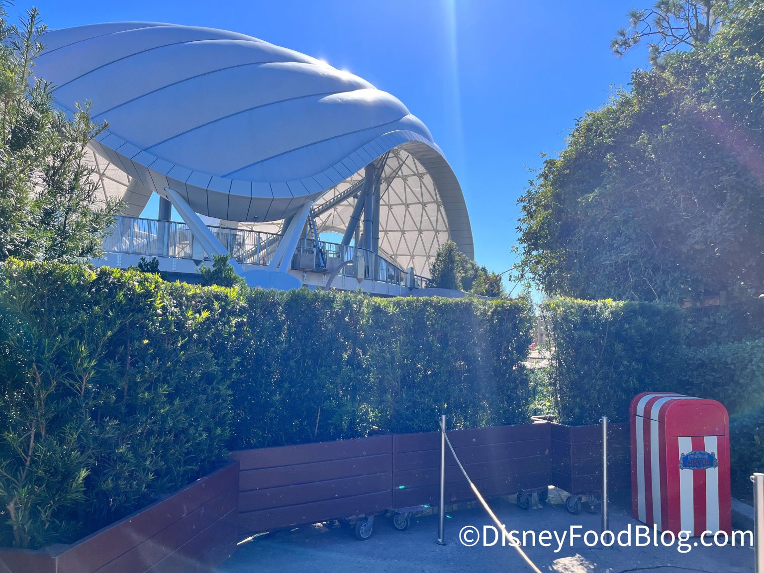 What's New in Magic Kingdom: Haunted Mansion Merchandise and TRON ...