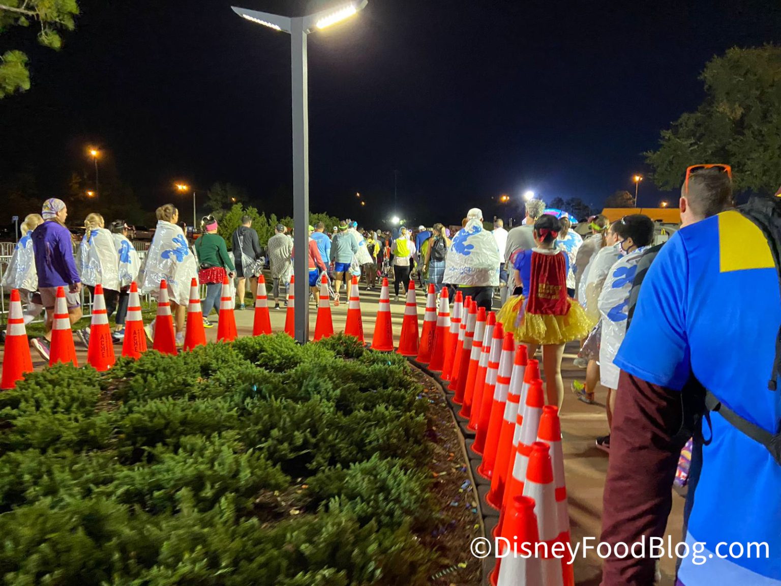HURRY! Registration Is NOW OPEN for a Popular Disney World Event! | the ...