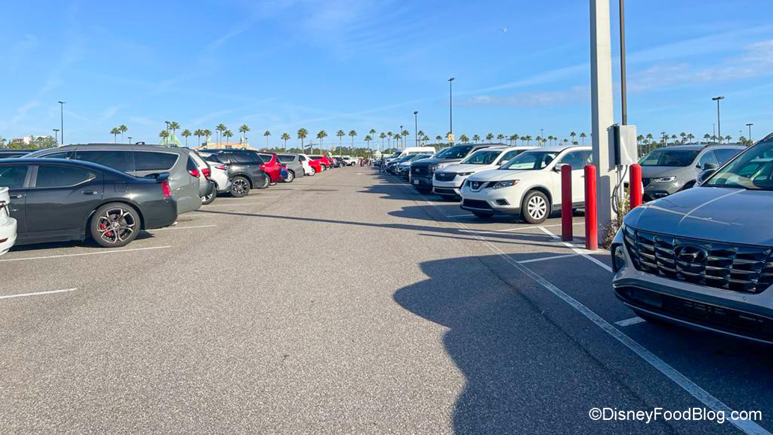 Beware This Disney World Parking Problem | the disney food blog