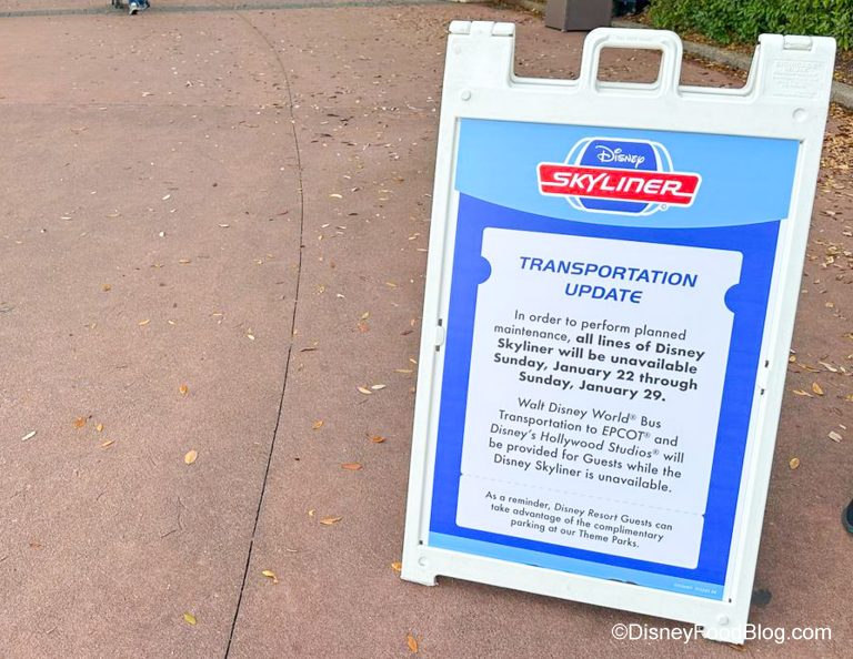 The Skyliner Is Now Temporarily CLOSED in Disney World | the disney ...