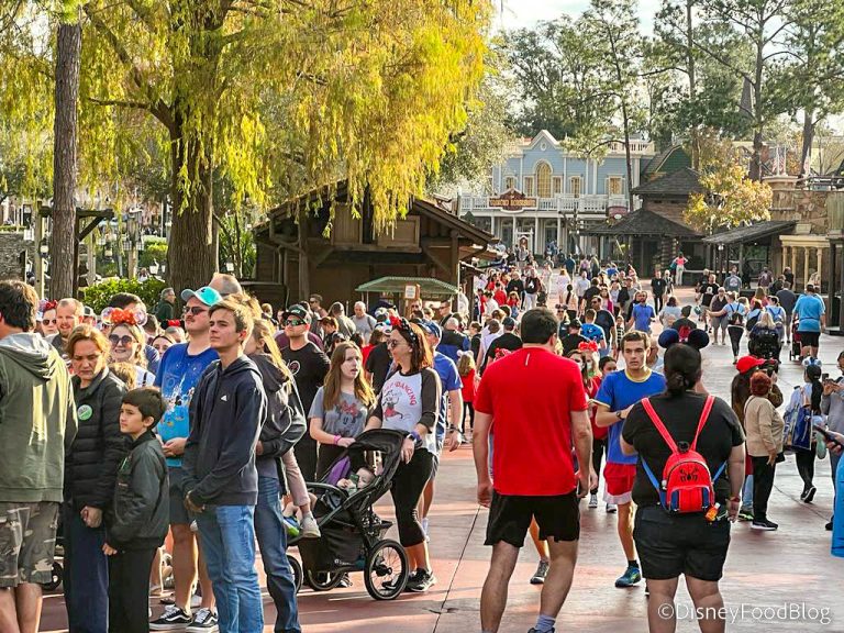 The Good, the Bad, and the CROWDED – What Magic Kingdom Is Like on ...