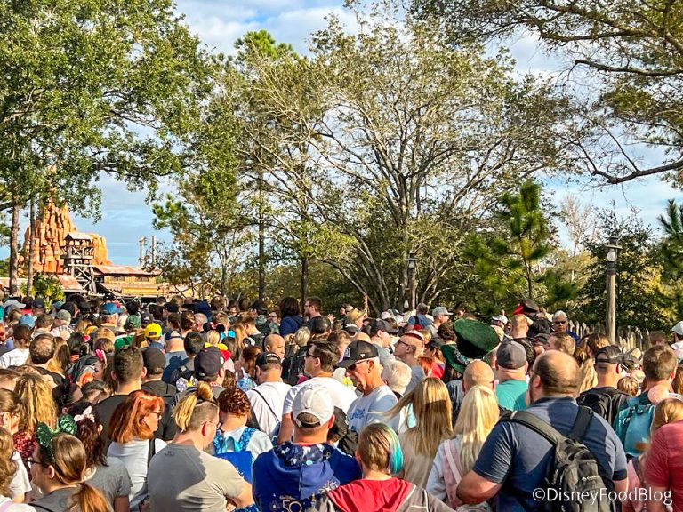A Look at the SHOCKING Splash Mountain Closure Crowds in Disney World ...