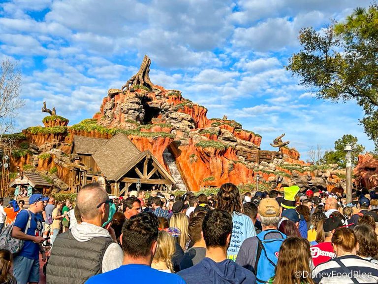 Splash Mountain Lightning Lanes Already SOLD OUT in Disney World | the ...