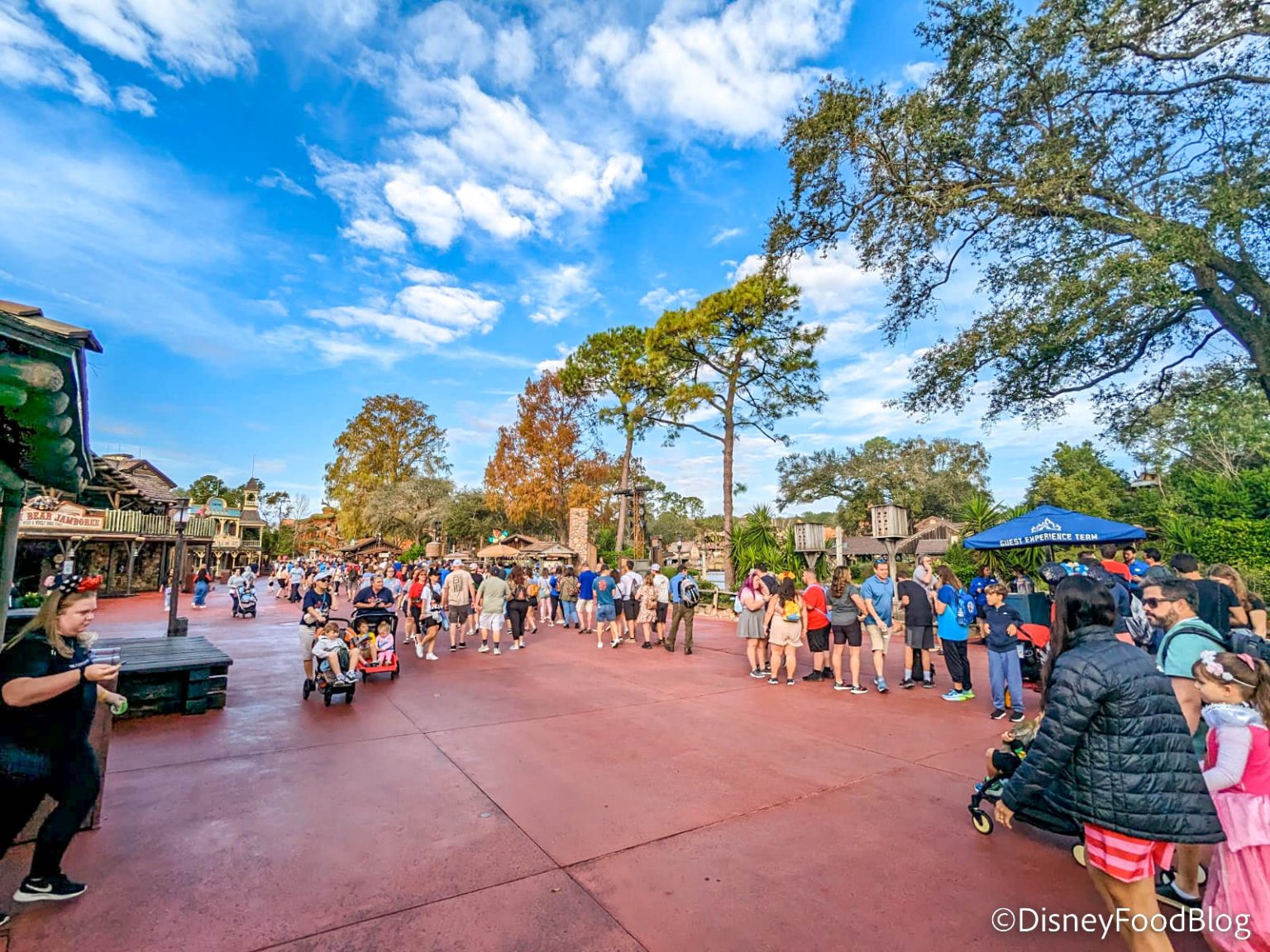 A Look at the SHOCKING Splash Mountain Closure Crowds in Disney World ...