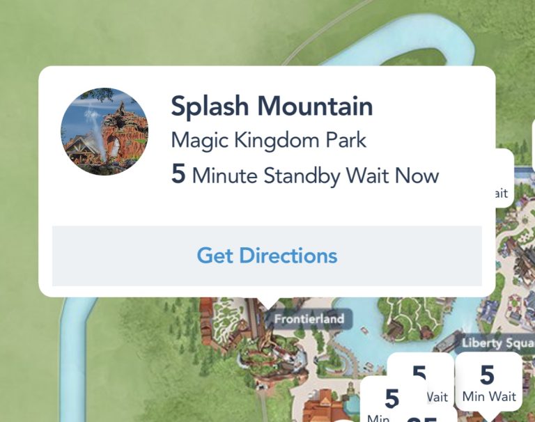 The Good, the Bad, and the CROWDED – What Magic Kingdom Is Like on ...