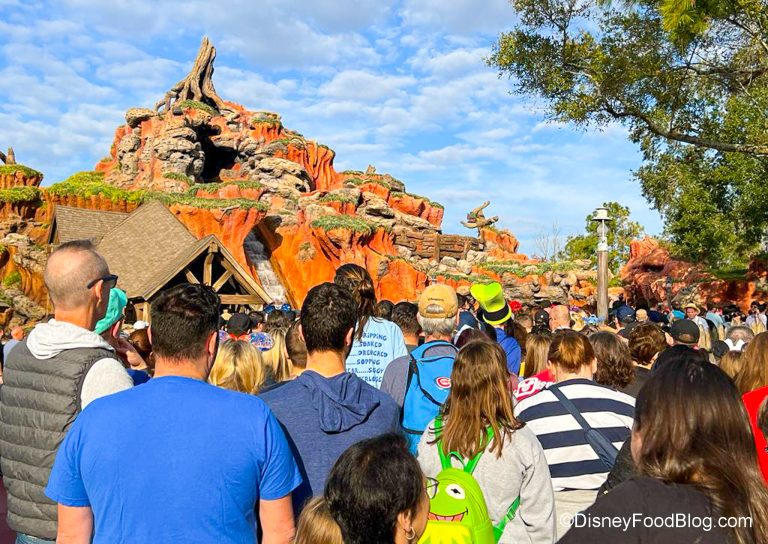 A Look at the SHOCKING Splash Mountain Closure Crowds in Disney World ...