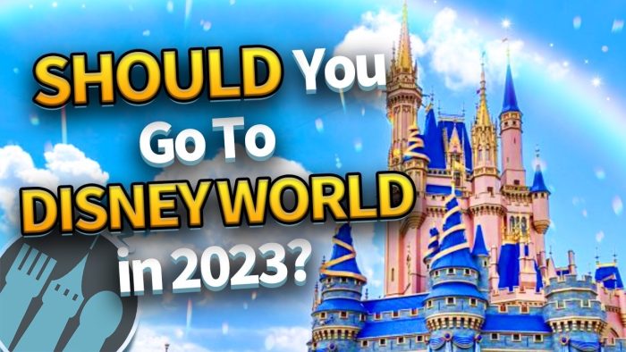 DFB Video: Should You Go to Disney World in 2023? | the disney food blog