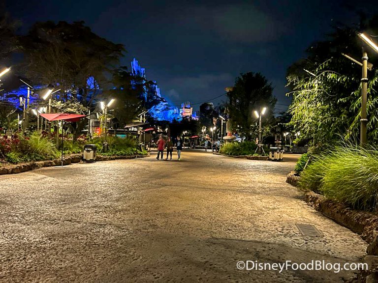 The One Thing That Could BLINDSIDE You in Disney World | the disney ...