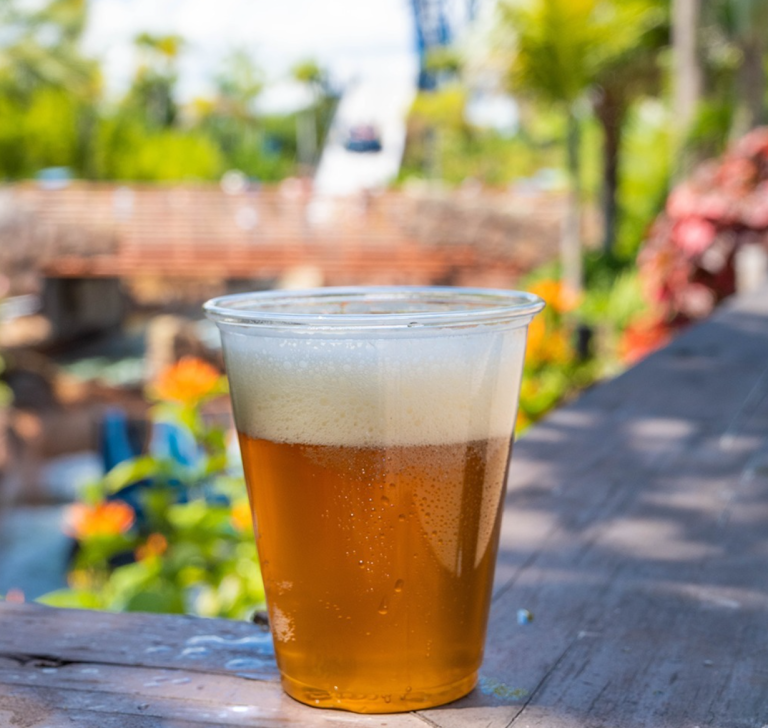 Find Out How You Can Get Free Beer at a Florida Theme Park! | the ...