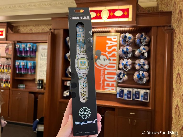 Now That Disney World Annual Passes Are Back, We Need to TALK | the ...