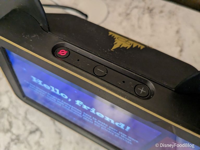 VIDEO: See "Hey Disney!" Alexa Devices in ACTION at Disney World | the ...