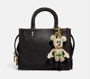 Got $1,500 Burning a Hole in Your Pocket? This Disney x Coach ...
