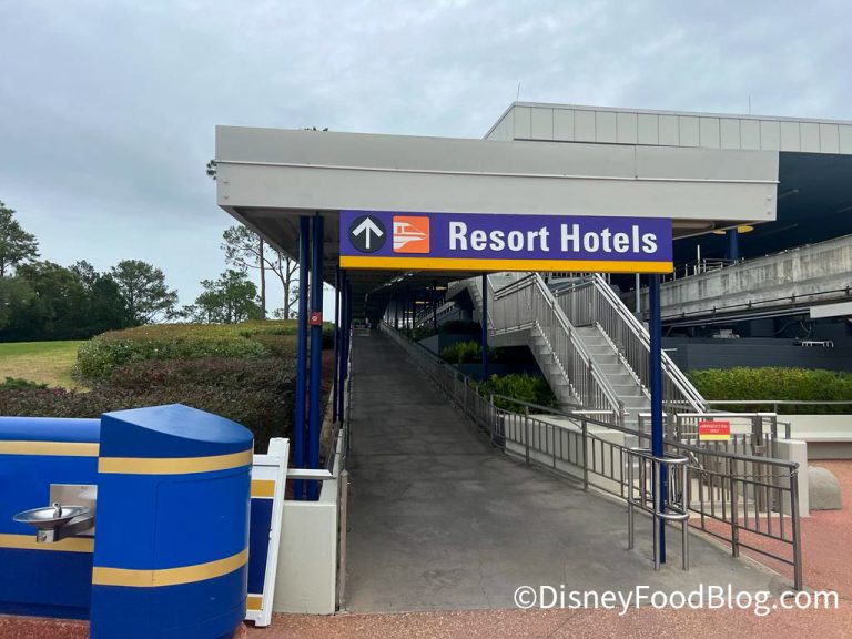 I've Tried Every Transportation Hack in Disney World and I'm Sharing 8 ...