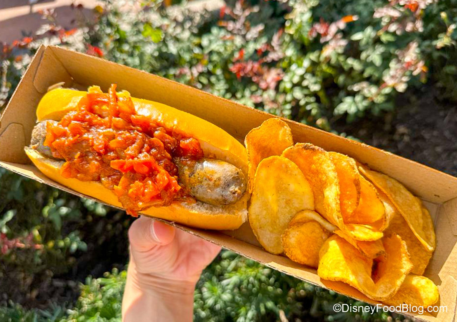 A Little Sweet, a Little Spicy, This New Snack Has It ALL in Disney ...