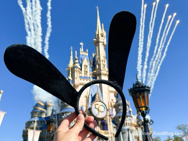 What's New at Magic Kingdom: Ears Like You've Never Seen Before | the ...