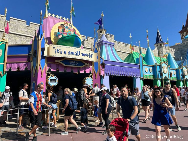 PHOTOS: 'it's a small world' Adds Doll in Wheelchair at Disney World ...