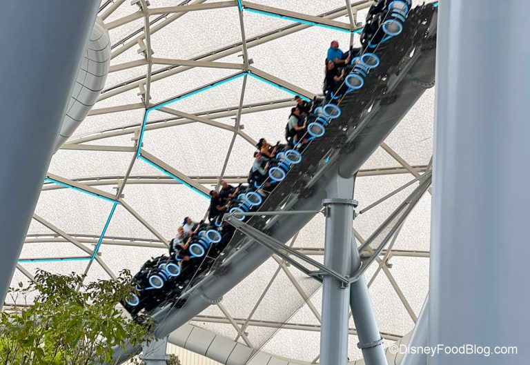 Will I Fit on TRON Lightcycle / Run in Disney World? | the disney food blog