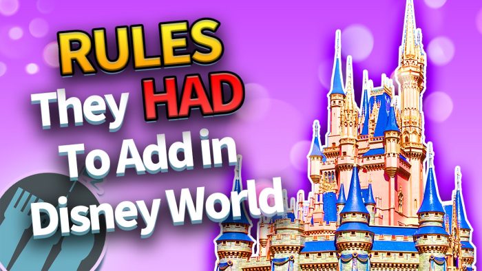 DFB Video: 12 New Rules they HAD to Add in Disney World | the disney ...