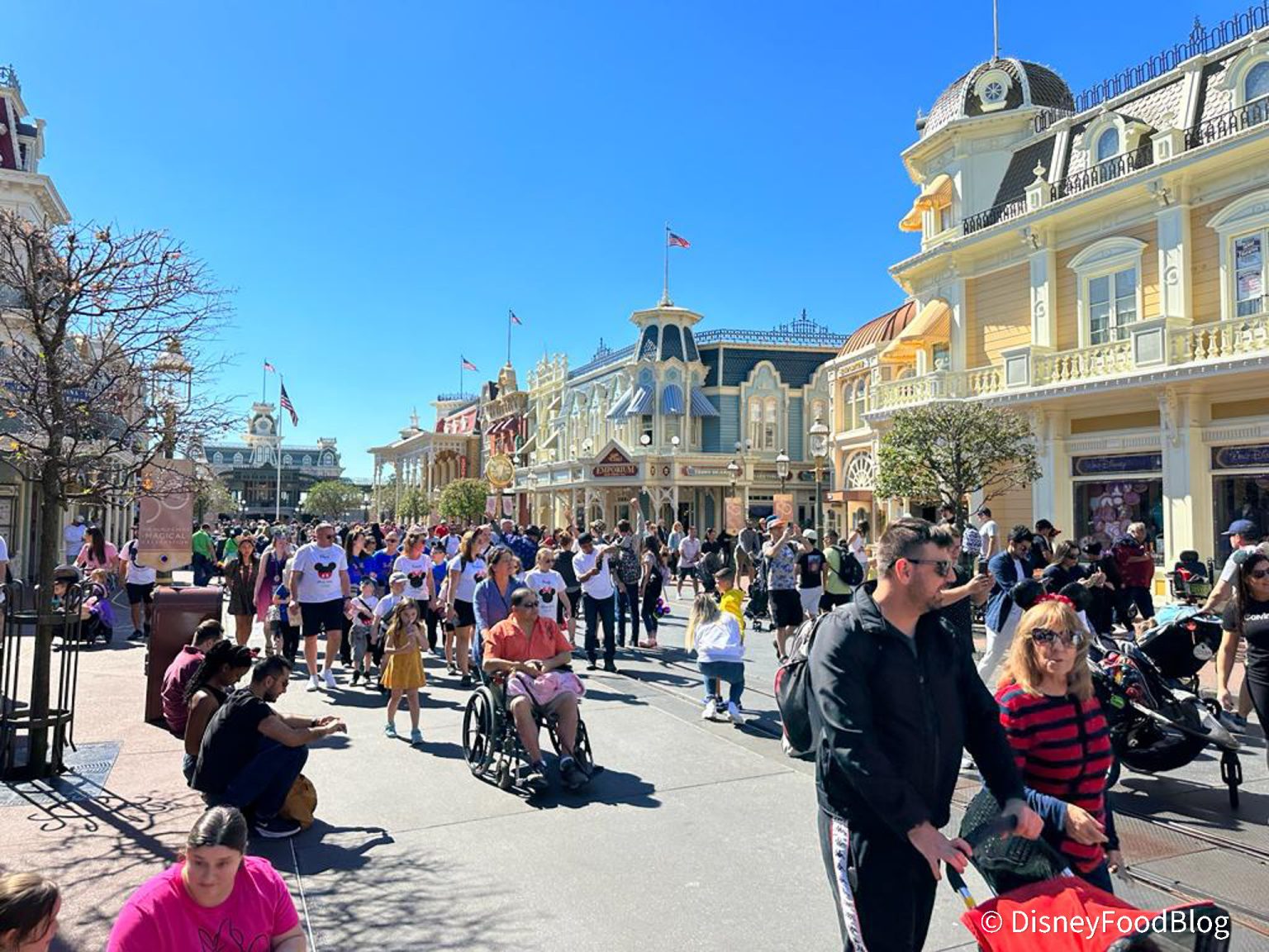 PHOTOS: You'll Be SHOCKED by Today's Crowds in Disney World | the ...