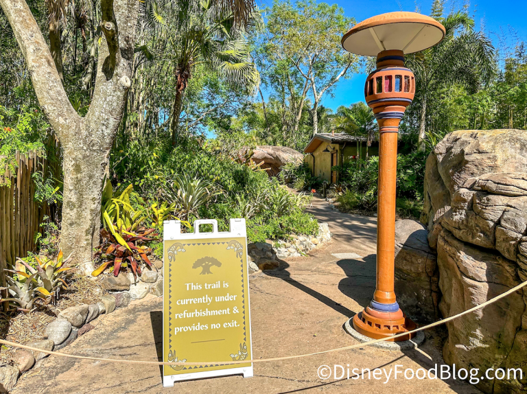 What's New at Disney's Animal Kingdom: A 'Toy Story' Spirit Jersey ...