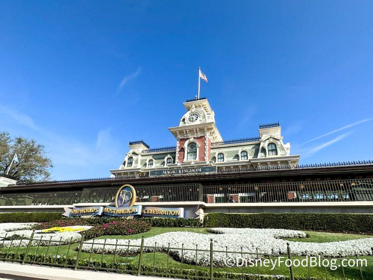 What's New at Magic Kingdom: 5 Snacks You DON'T Want To Miss | the ...