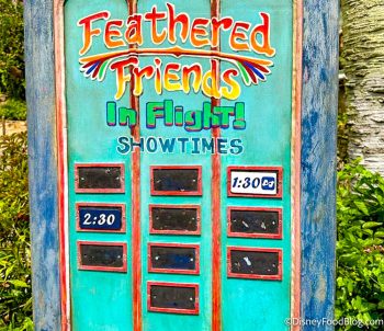 The Cool Feature You Never Knew About at Disney's Animal Kingdom | the ...