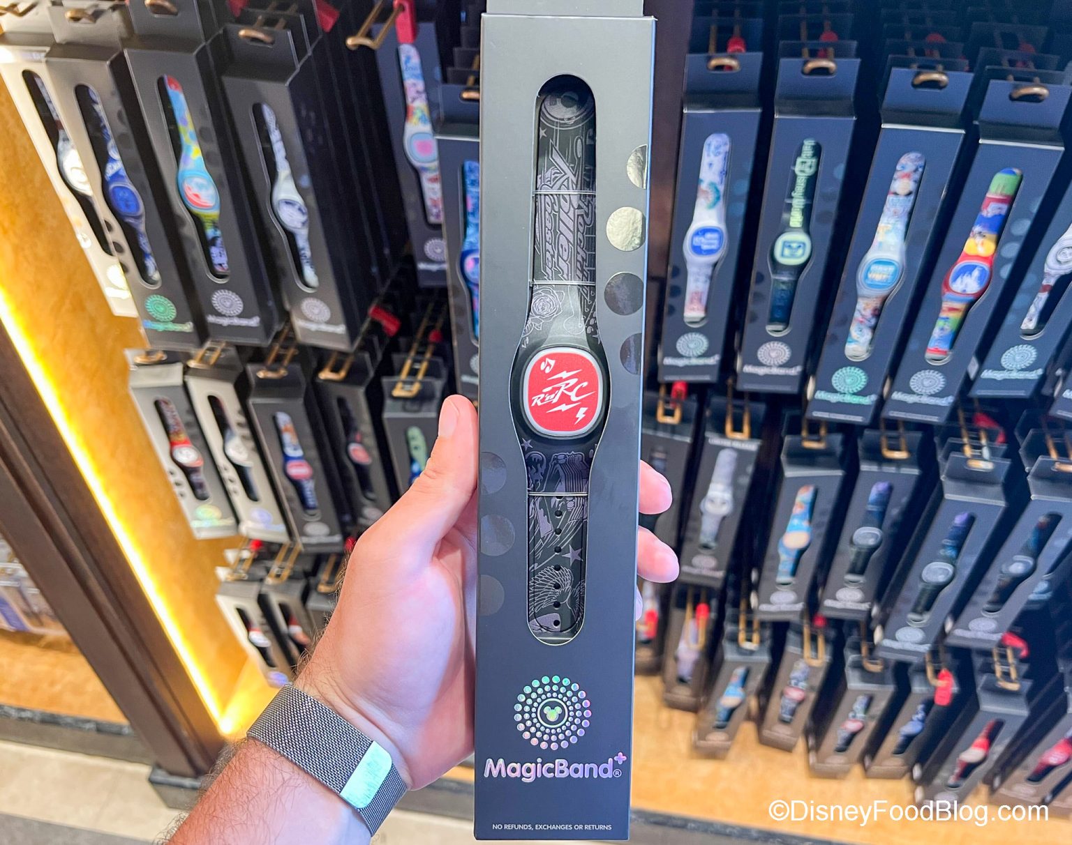 What's New at Disney's Hollywood Studios: You Can Meet The Mandalorian ...