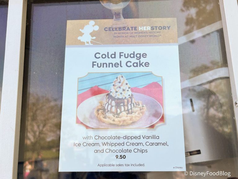 REVIEW: There's a NEW Funnel Cake in Disney World! | the disney food blog