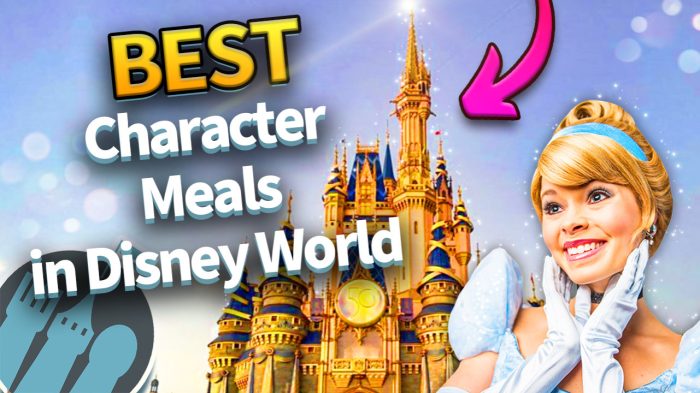 DFB Video: The ULTIMATE Guide to Character Meals in Walt Disney World ...