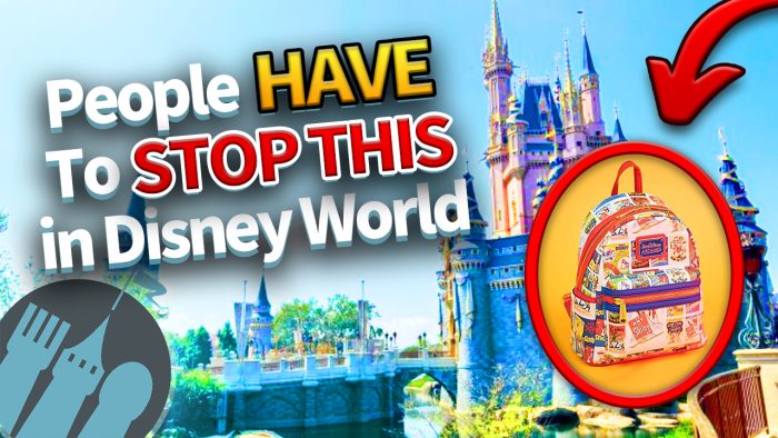 DFB Video: Things People Have To STOP Doing in Disney World | the ...
